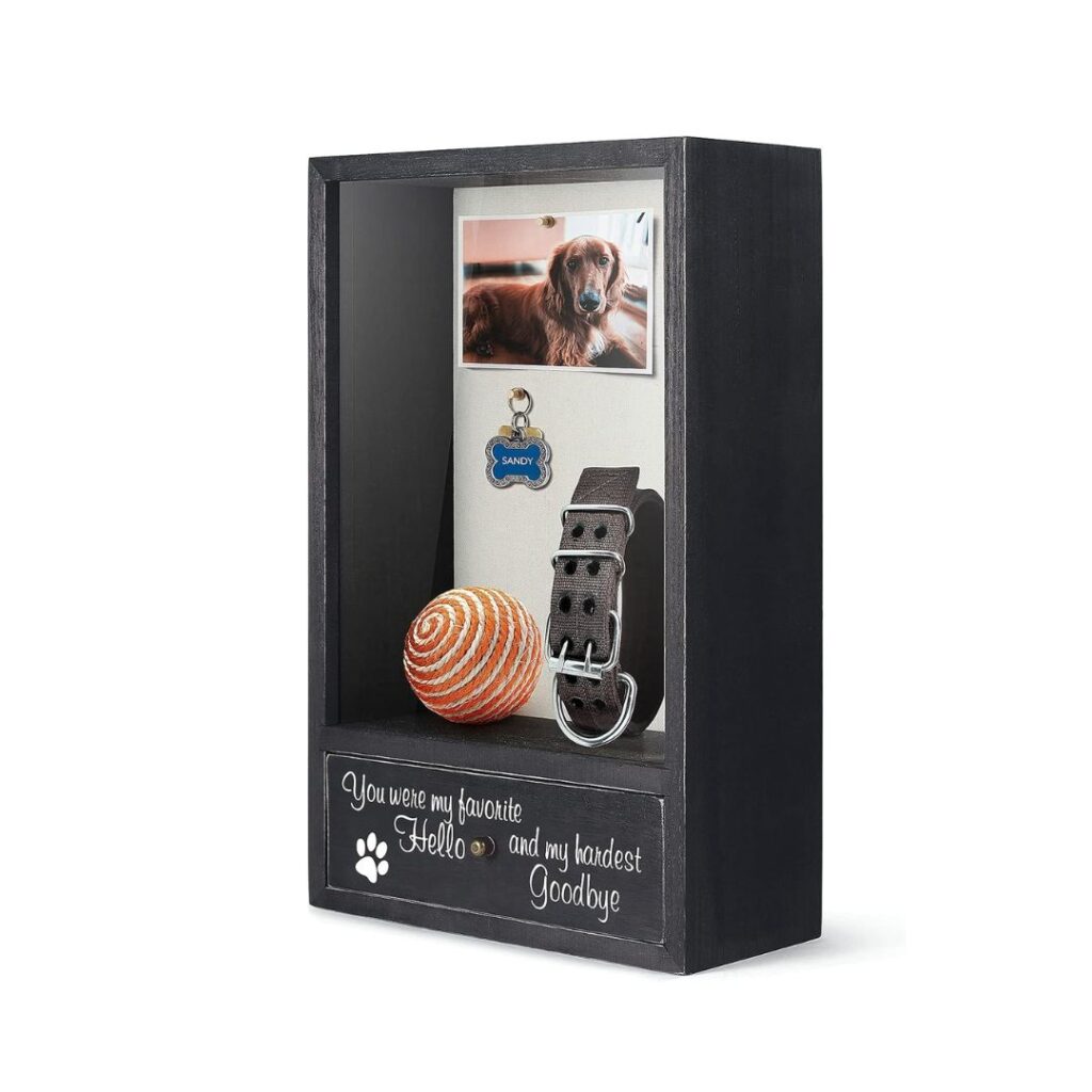 Paw Print Picture Frame Shadow Box - BlueButterfly